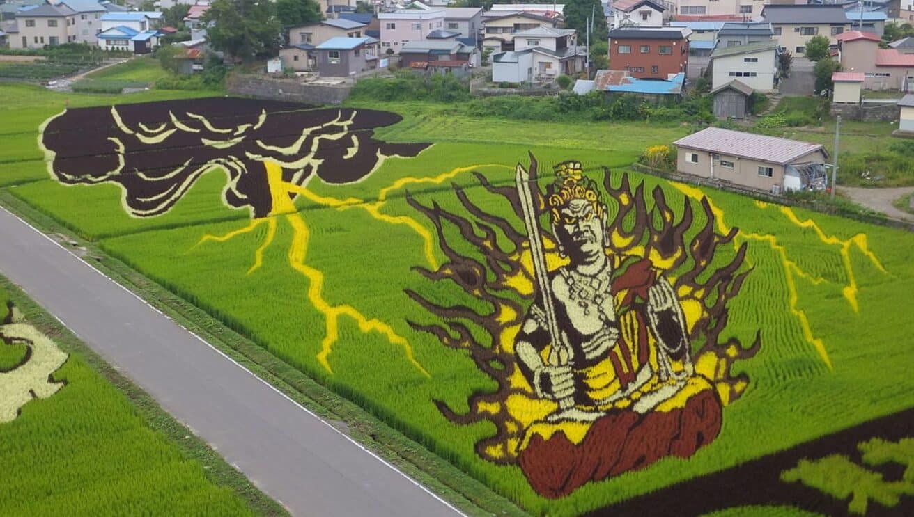 11 Nice Facts About Rice That You Didn't Know - The Fact Site