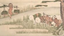 11 Nice Facts About Rice That You Didn't Know - The Fact Site