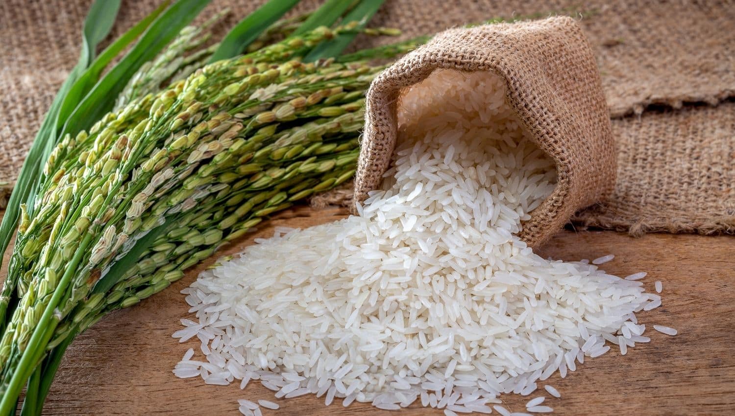 11 Nice Facts About Rice That You Didn't Know - The Fact Site