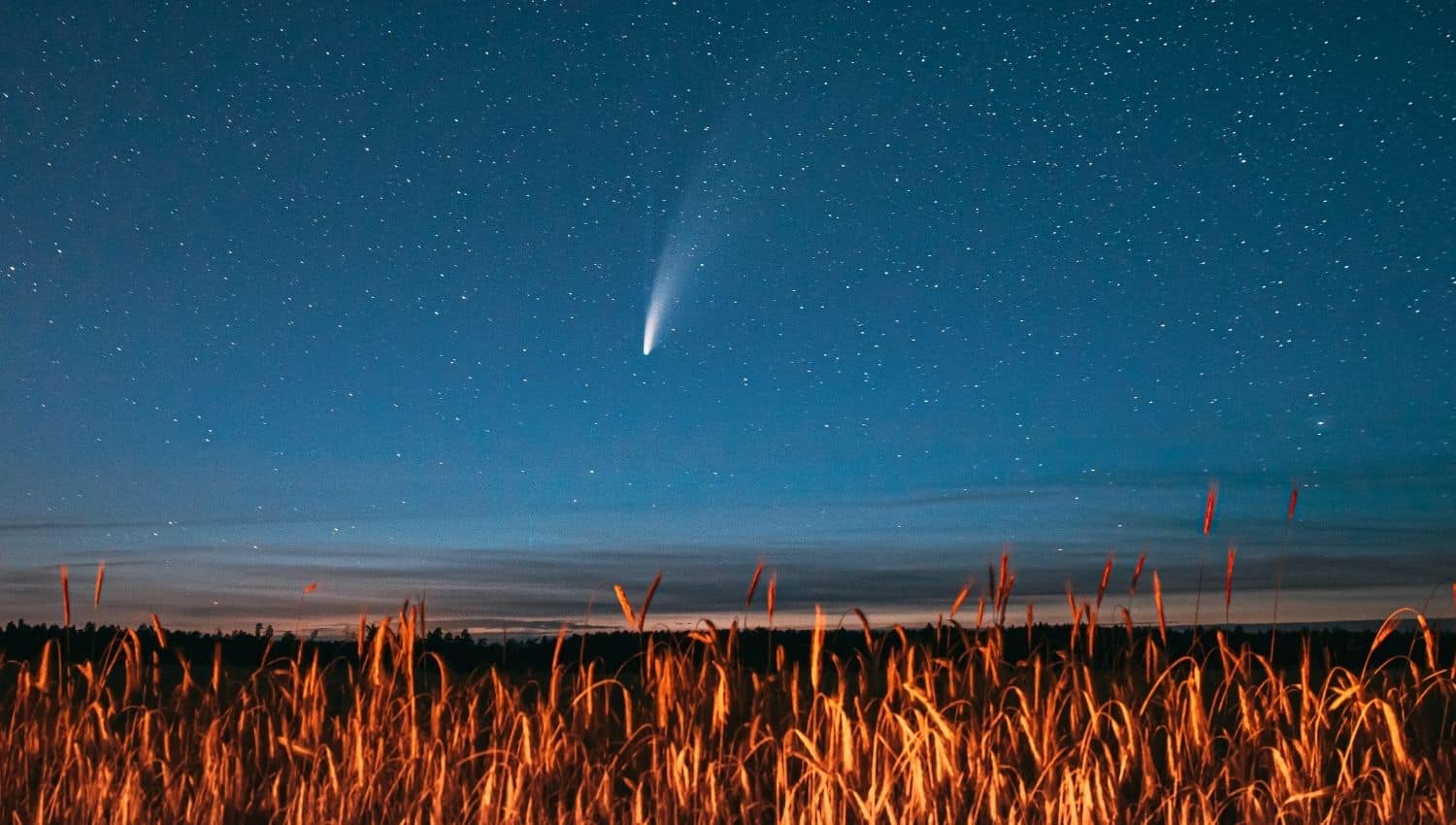 What Is The Difference Between Asteroids, Comets & Meteors? - The Fact Site