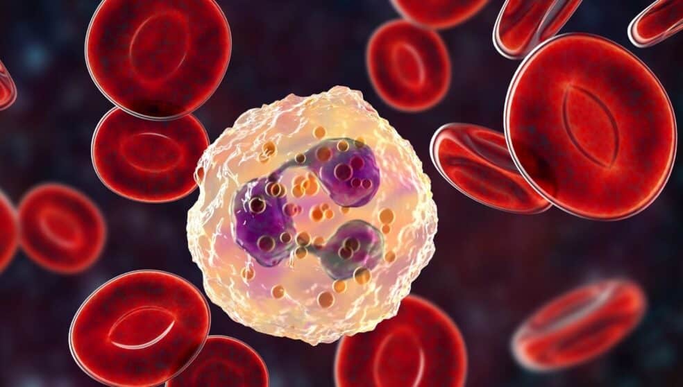 Can You Actually Boost Your Immune System? - The Fact Site