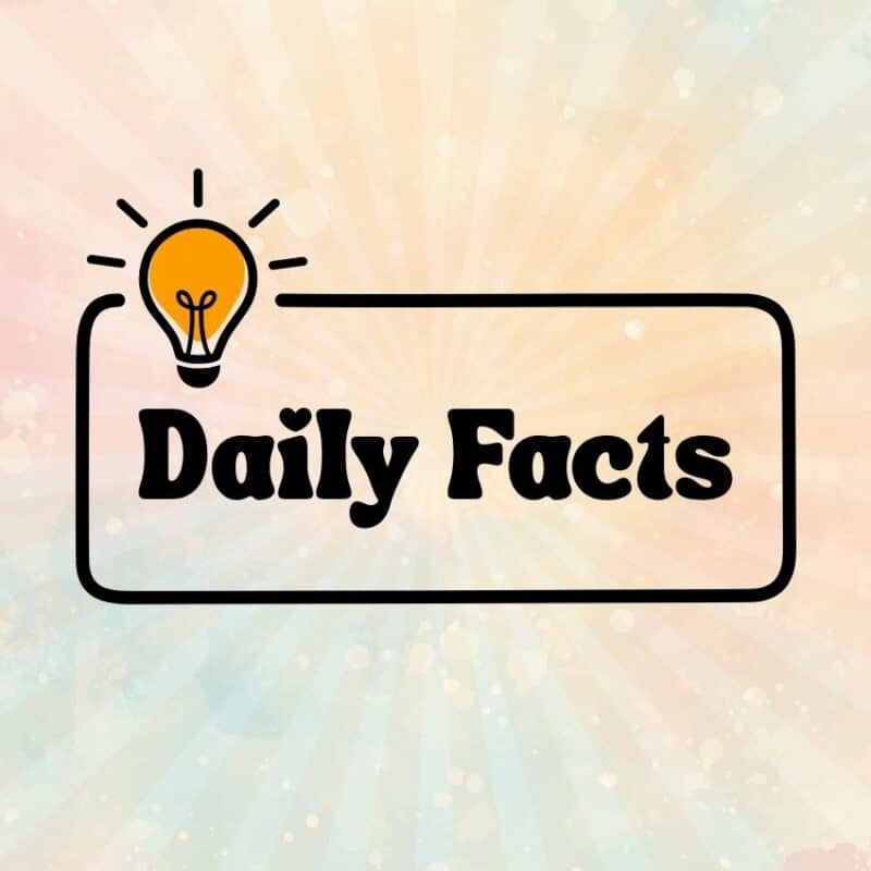 30 Facts You Didn't Know About Adele - The Fact Site