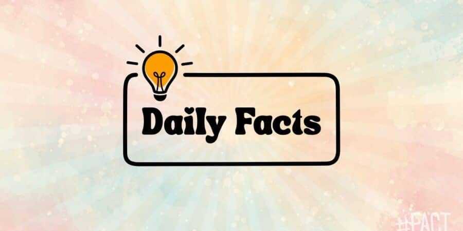 The Fact Generator: Random Facts At The Click of a Button - The Fact Site