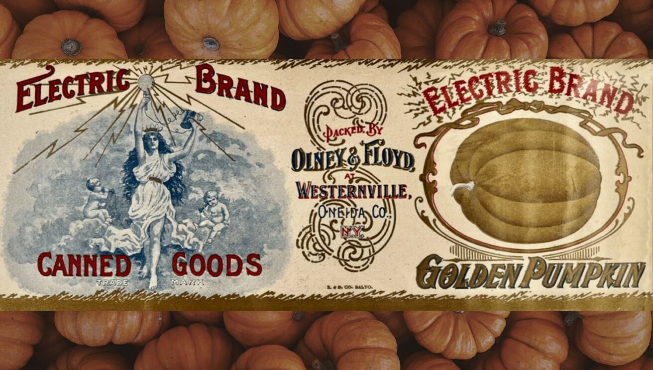 10 Basic Facts About Pumpkin Spice You’ll Love This Fall - The Fact Site