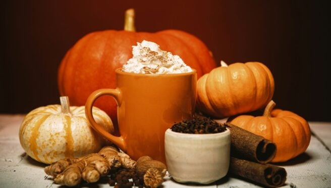10 Basic Facts About Pumpkin Spice You’ll Love This Fall - The Fact Site