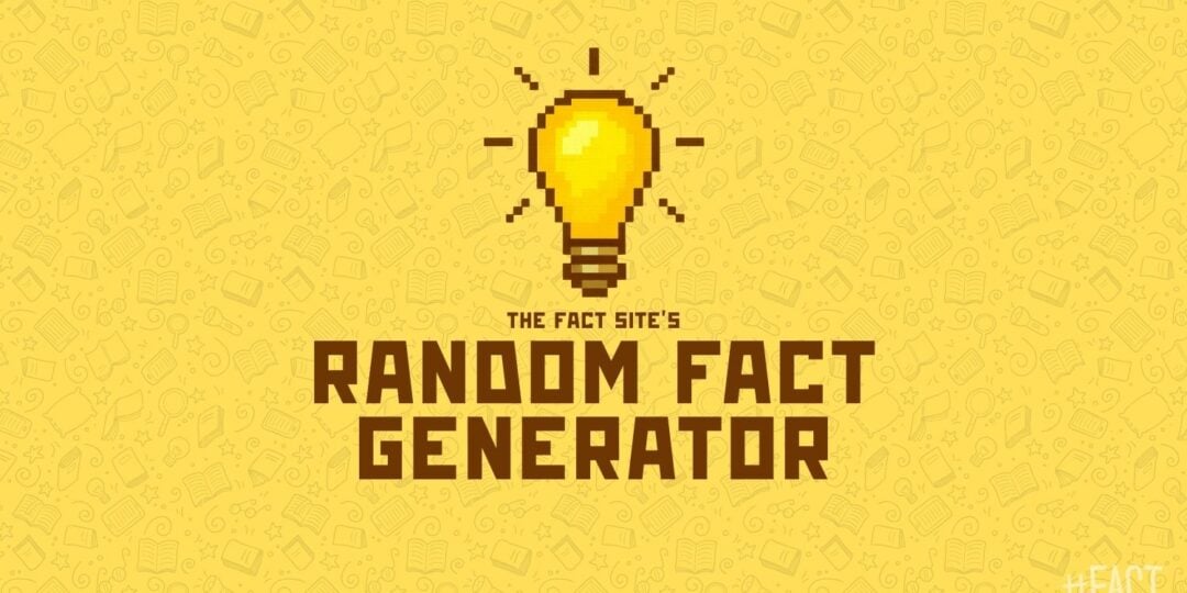25 Daily Fun Facts That’ll Teach You Something New Every Day - The Fact ...